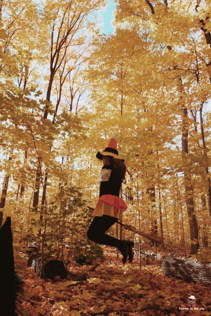 Fall is in the air